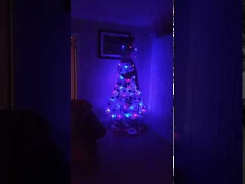 HSicily Fairy Lights Plug in, Christmas Lights 8 Modes 100 LED