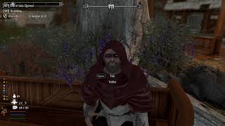 AI Framework CHIM at Skyrim Special Edition Nexus - Mods and Community