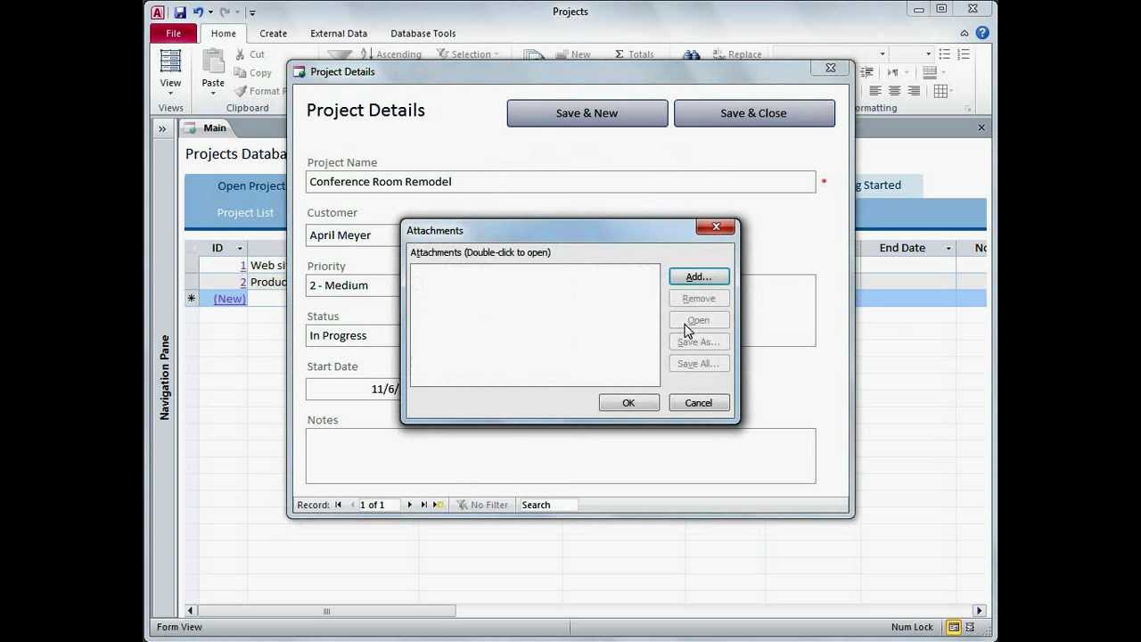 In Access: Use the Projects Web Database template