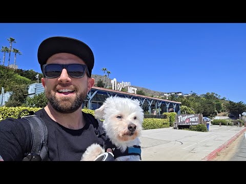 California Coast Adventure with My Dog — Filming Locations & Neptune’s Net
