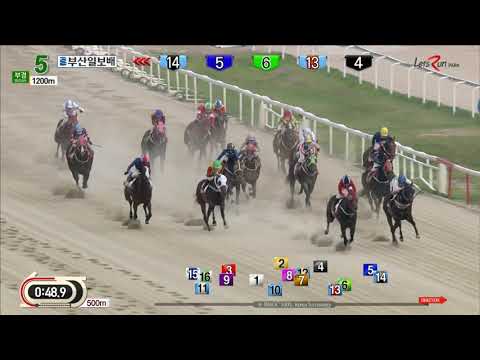 Do Kki Blade Downs Gaon Champ In Busan Sprint Duel | Horse Racing in Korea