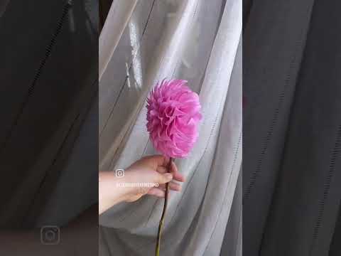 A closer look at Flower Club -- our weekly local flower subscription