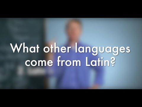 What other Languages come from Latin?