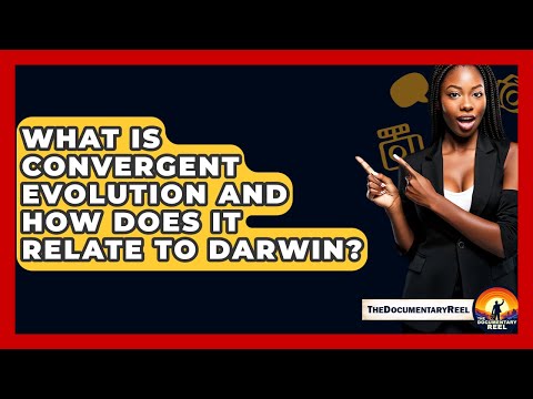 What Is Convergent Evolution And How Does It Relate To Darwin? - The Documentary Reel