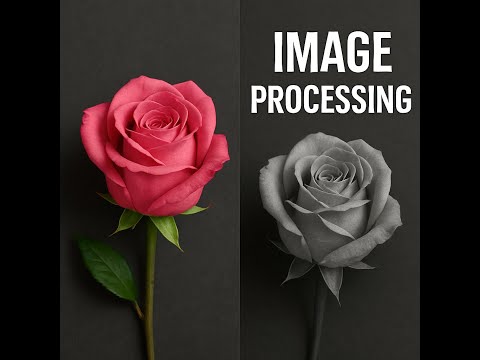 Image Processing Explained | Basics & Applications in AI