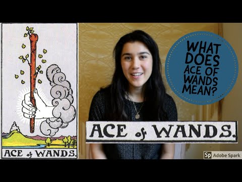 Ace of Wands Meaning | TAROT SERIES