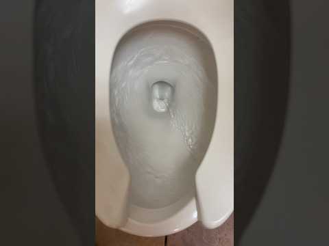American Standard Madera Toilet At Wendy’s