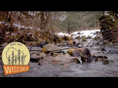 Wisconsin County Parks | Know Your Wisconsin