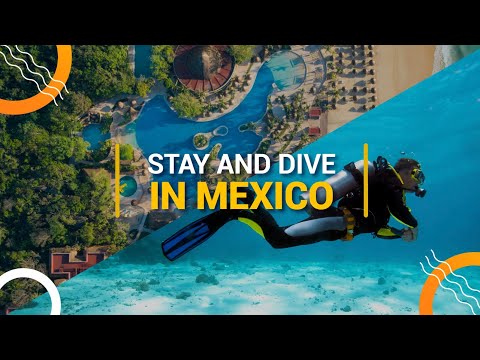 STAY & DIVE IN MEXICO with Dressel Divers
