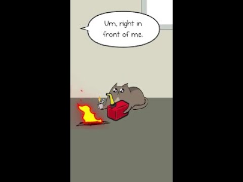 the imploding kitten