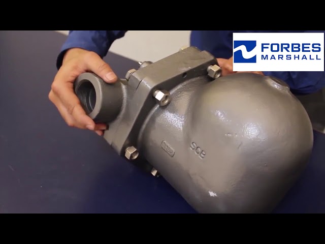 Forbes Marshall Valves - Mild Steel Compact Modul Two Orifice Float ...