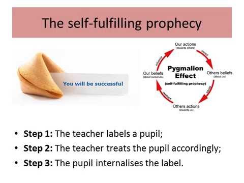 03 Social Class & Education (Internal Factors)