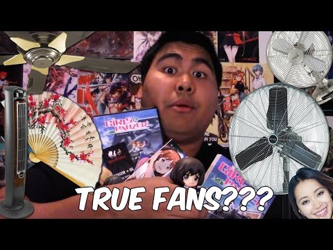 What Does It Mean to Be a True Fan? | Manime Rantz