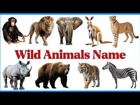 Wild Animals | Wild Animals Name In English With Pictures | Wild Animals Name for Kids #animals