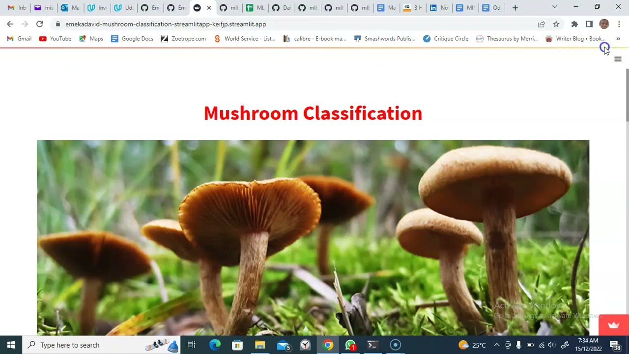 How To Use The Mushroom Classification App