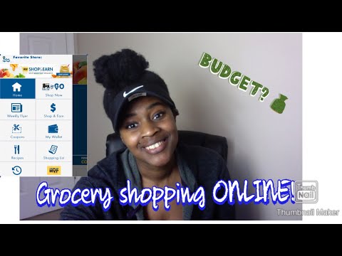 Grocery Shop with Me! | Food Lion to Go Grocery Shopping Haul | Budget? + What I'm Cooking