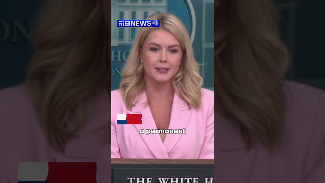 U.S. and Ukraine respond to Russia's ceasefire declaration | 9 News Australia