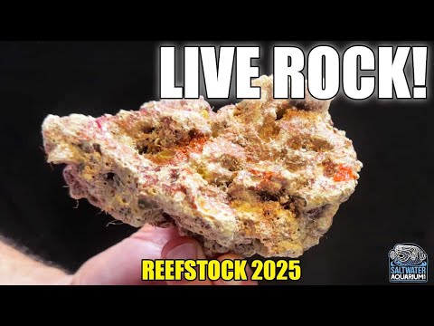 Maricultured LIVE ROCK from Marco Rocks - Reefstock Denver 2025