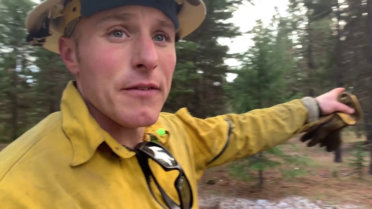 Wildfire fuel reduction