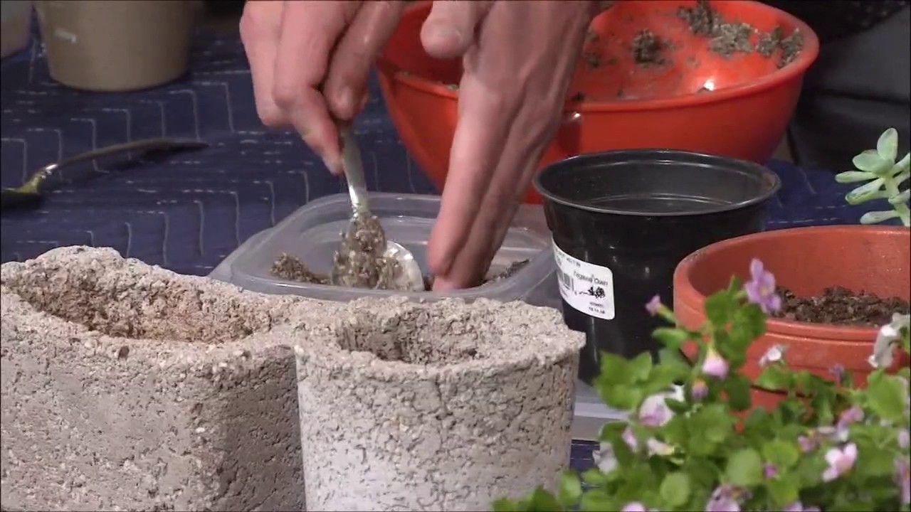 Fix This: Lightweight concrete planters