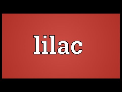 Lilac Meaning