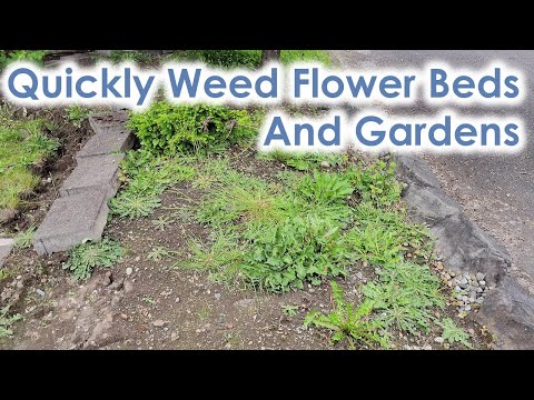 How to Quickly Weed Flower Beds and Gardens Without Being on your Hands and Knees