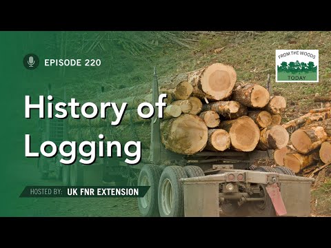 The History of Logging - From the Woods Today - Episode 220