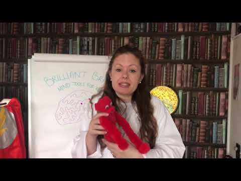 Your Brilliant Brain Friends- Help your child understand how their brain runs emotions and feelings