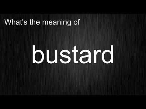 What's the meaning of "bustard", How to pronounce bustard?