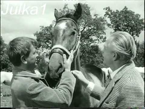 It’s Theme Tunes Day – The White Horses | The Cathode Ray Choob
