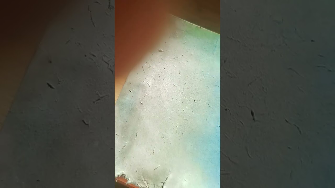 #art this took forever