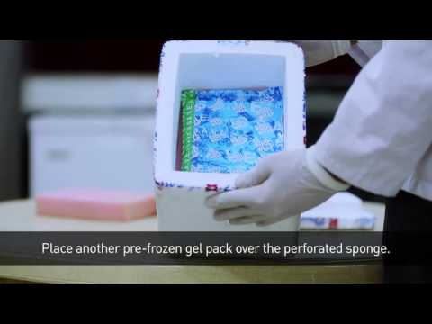 Healthcare Packaging Room Temperature