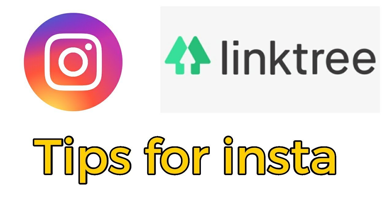 What is Linktree | how to use link tree in Instagram bio
