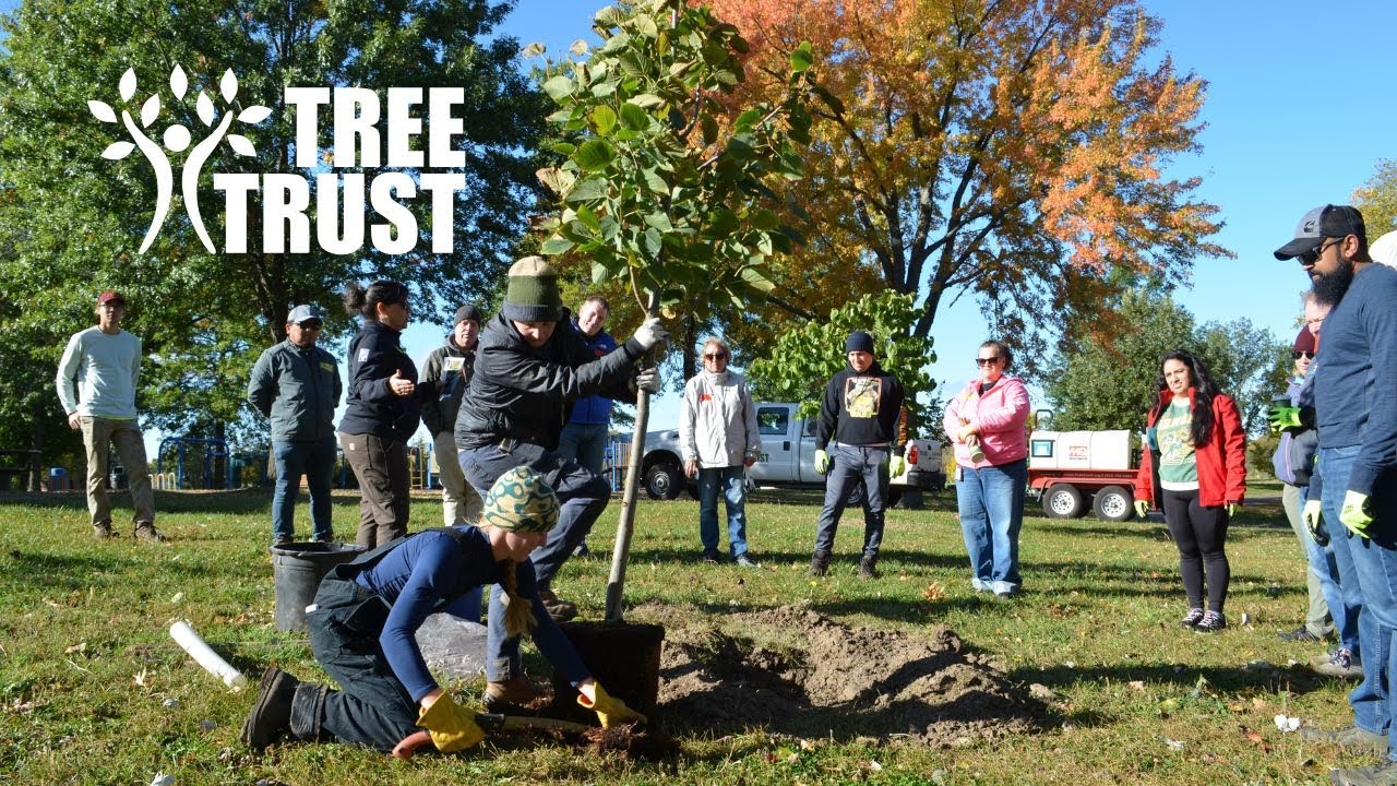 Our Mission, Vision, and Core Values | Tree Trust