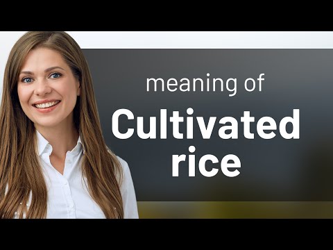 Cultivated rice — CULTIVATED RICE meaning