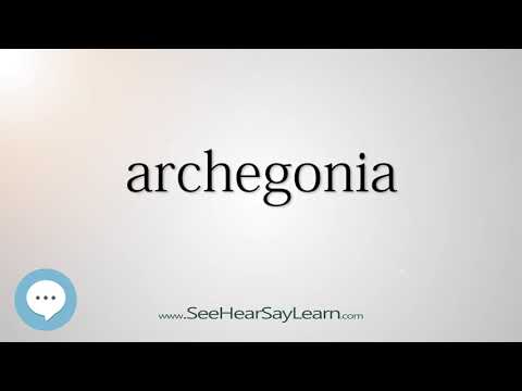 archegonia (Every English Word Pronounced) ????????????️????✅