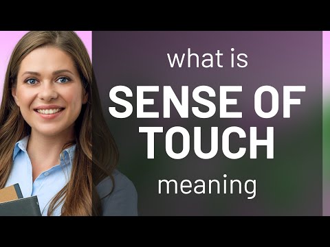 Sense of touch — what is SENSE OF TOUCH definition