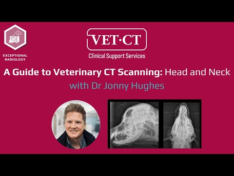A Guide to Veterinary CT Scanning - Head and Neck