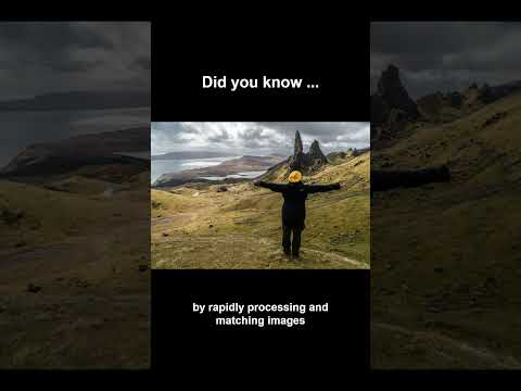 Did you know that AI is helping to preserve wildlife?