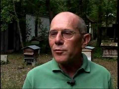 video en francais – jachere apicole (2/3) | Apiculture: le blog d'un ...