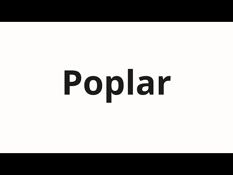 How to pronounce Poplar