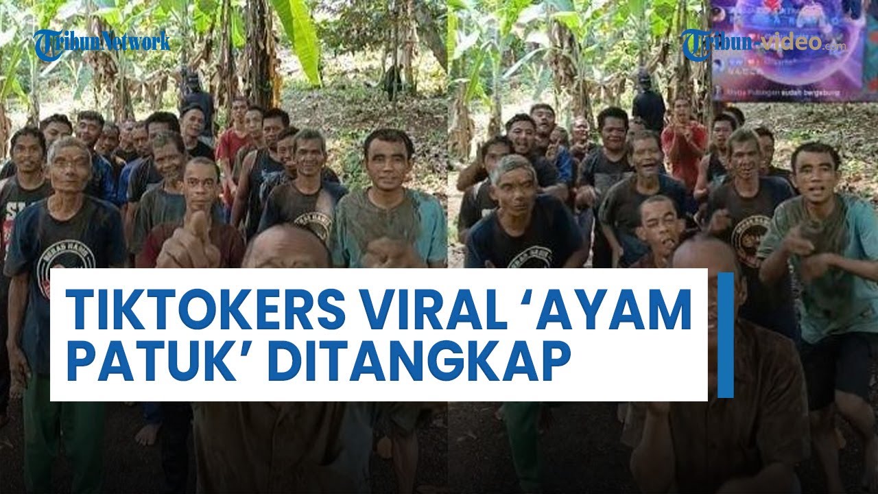 Sosok Gunawan Sadbor TikToker Joget Ayam Patuk, Ditangkap Polisi karena Diduga Promosi Judi ...