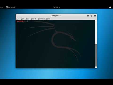 How to update Kali Linux to latest version