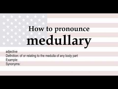 How to pronounce 'medullary' + meaning