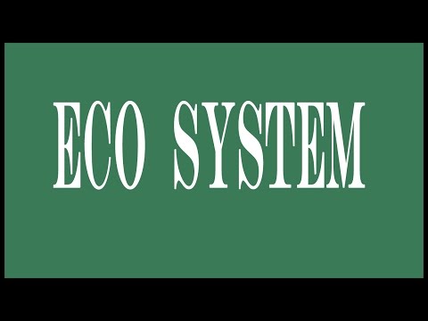 ECOSYSTEM Word Meaning With Example
