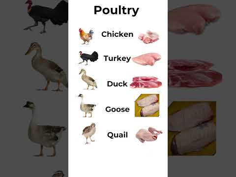 MEATS' NAMES