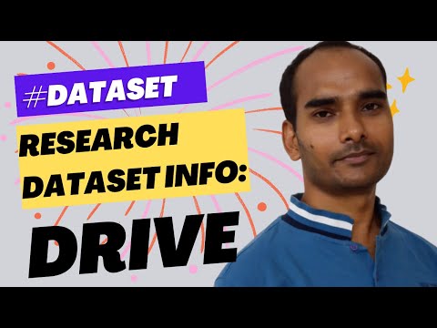Research Dataset Info: Drive
