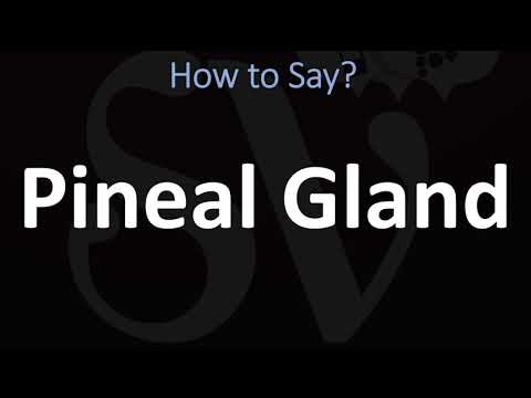 How to Pronounce Pineal Gland? (CORRECTLY)