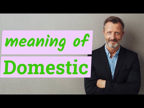 Domestic | Meaning of domestic