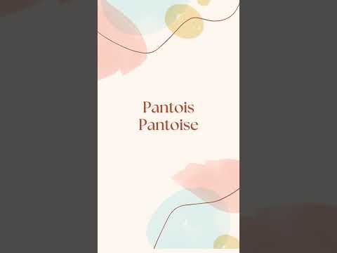 pantois #vocabulaire #vocabulairefrançais #artoratoire #éloquence #lecture #écrire #booktubefrance